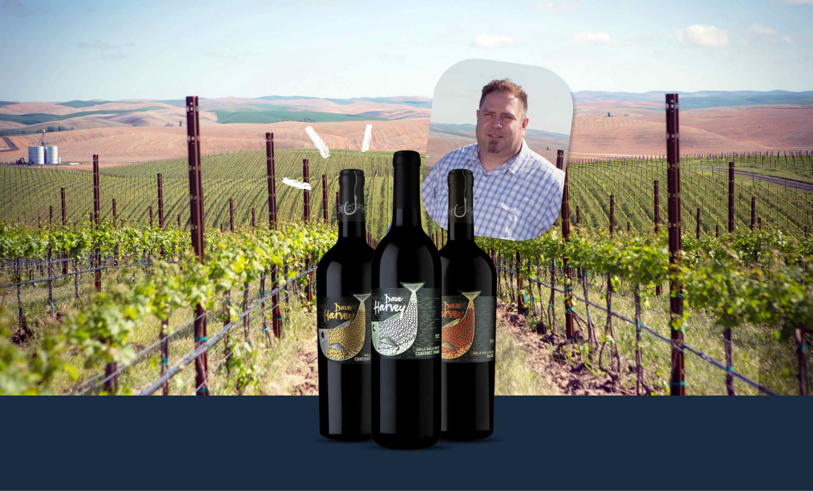 Dave Harvey Thank You Gift 3-Pack | NakedWines.com