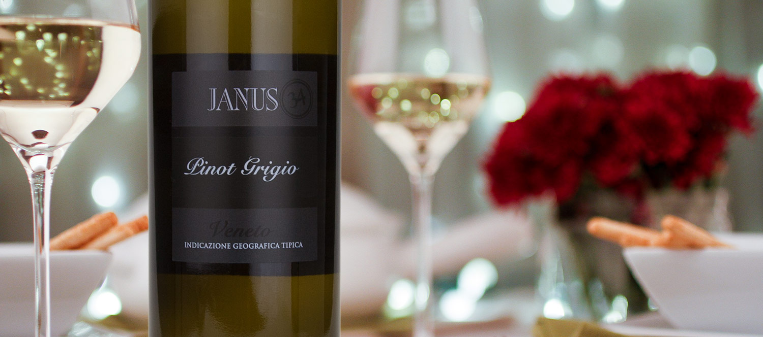 Sacchetto Janus Pinot Grigio Veneto 2014 | NakedWines.com