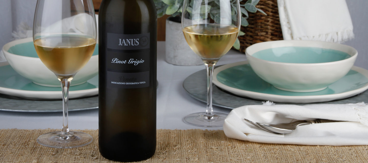 Sacchetto Janus Pinot Grigio Veneto 2015 | NakedWines.com